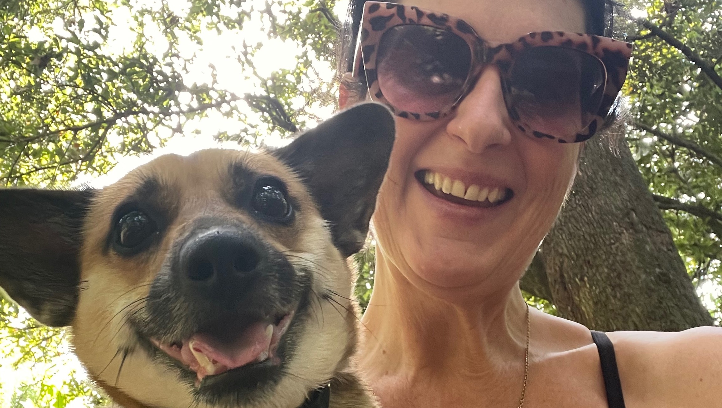 Fundraiser by Caroline Bozier : Donate to Caroline Bozier's Recovery ...