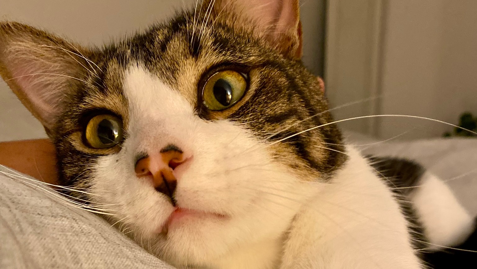 Fundraiser by Vicki Devor : Timothy Needs Our Help