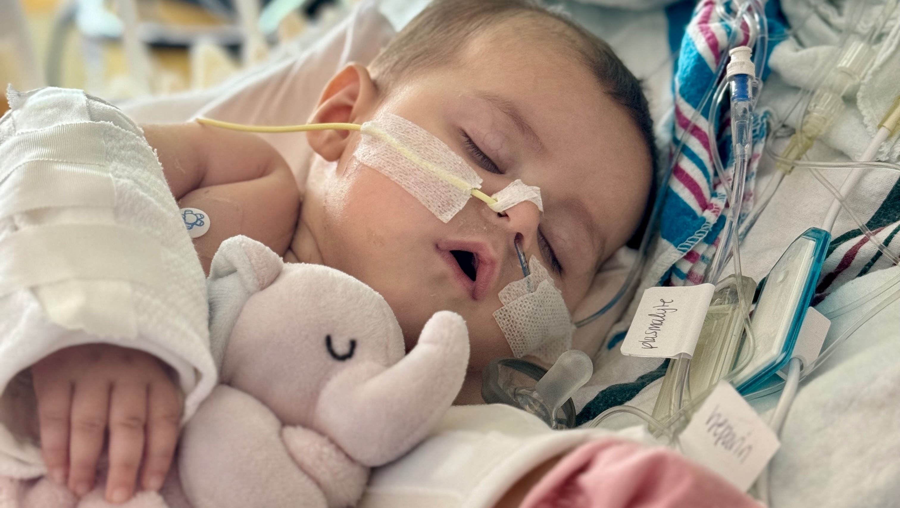 Fundraiser for Kevin Matsuno by Brittany Herrera-Liebman : Support Baby ...