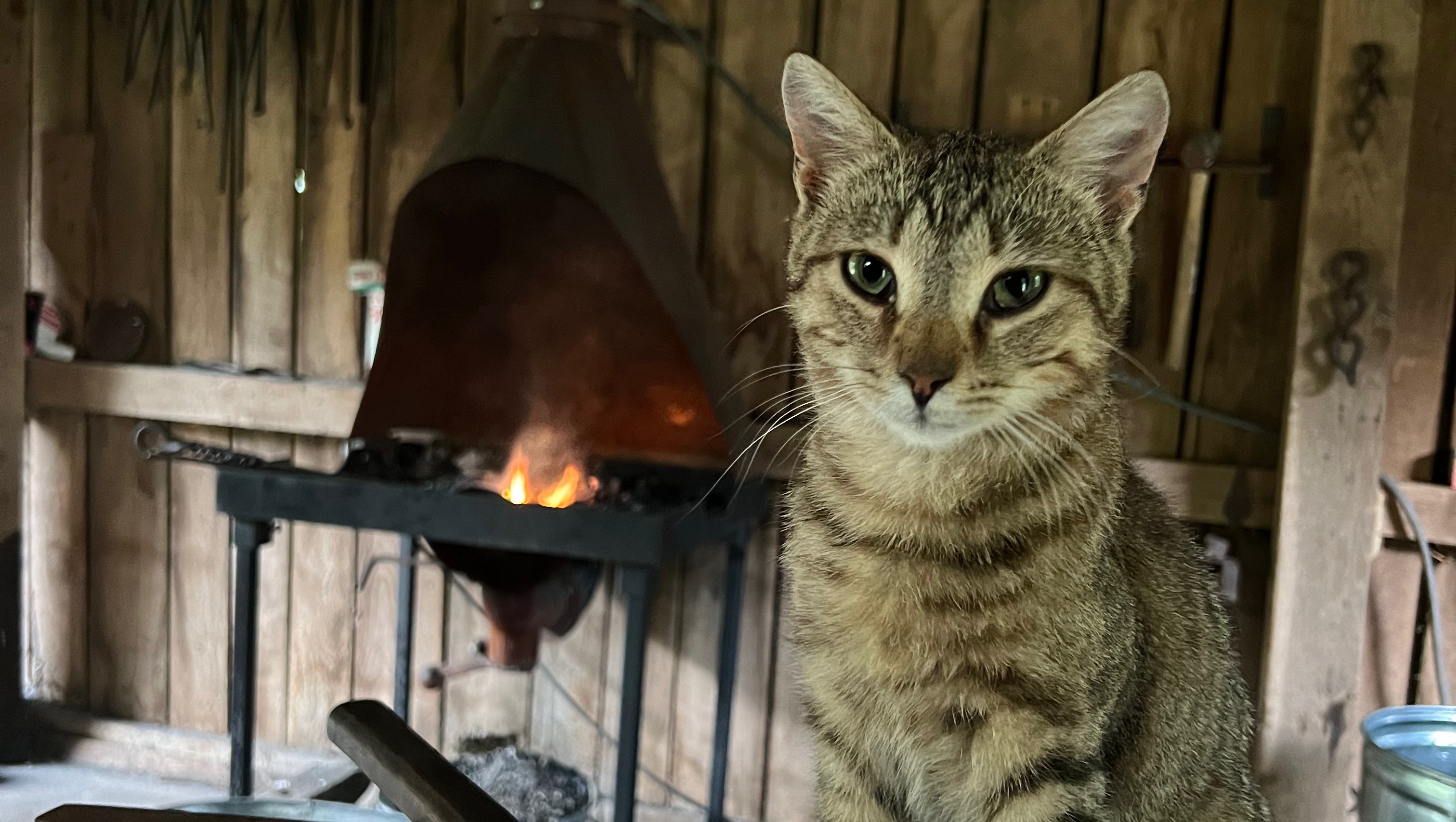 Fundraiser by Laurel Simmons : Donate to Letrice's Surgery and Recovery