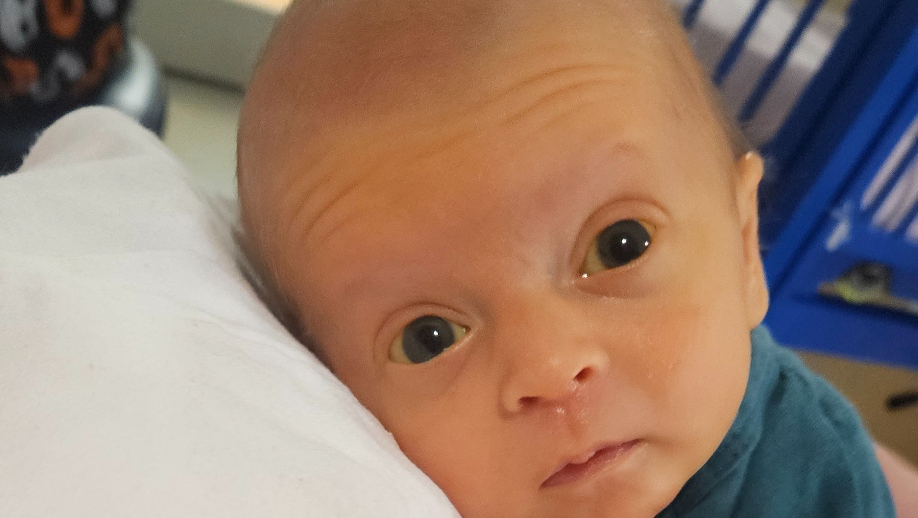 Fundraiser for Robert Newman by Thomas Savage : Help Koga & His Family ...