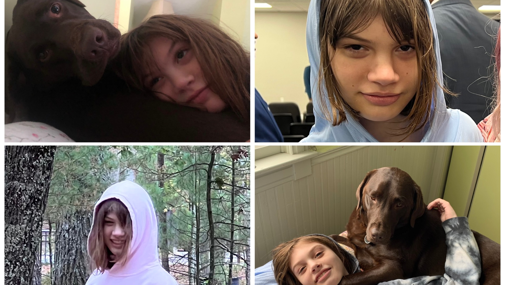 Fundraiser by Donna Bacon : Support Jade's Journey with a New Puppy