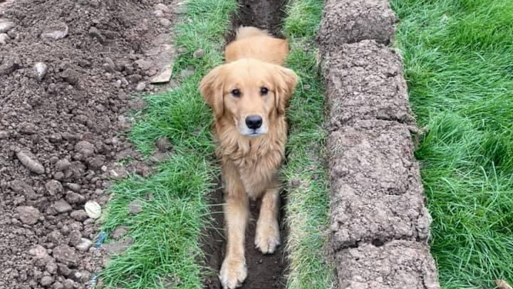 Fundraiser for Todd and Brenda Throop by Destini Townsend : Help Copper ...