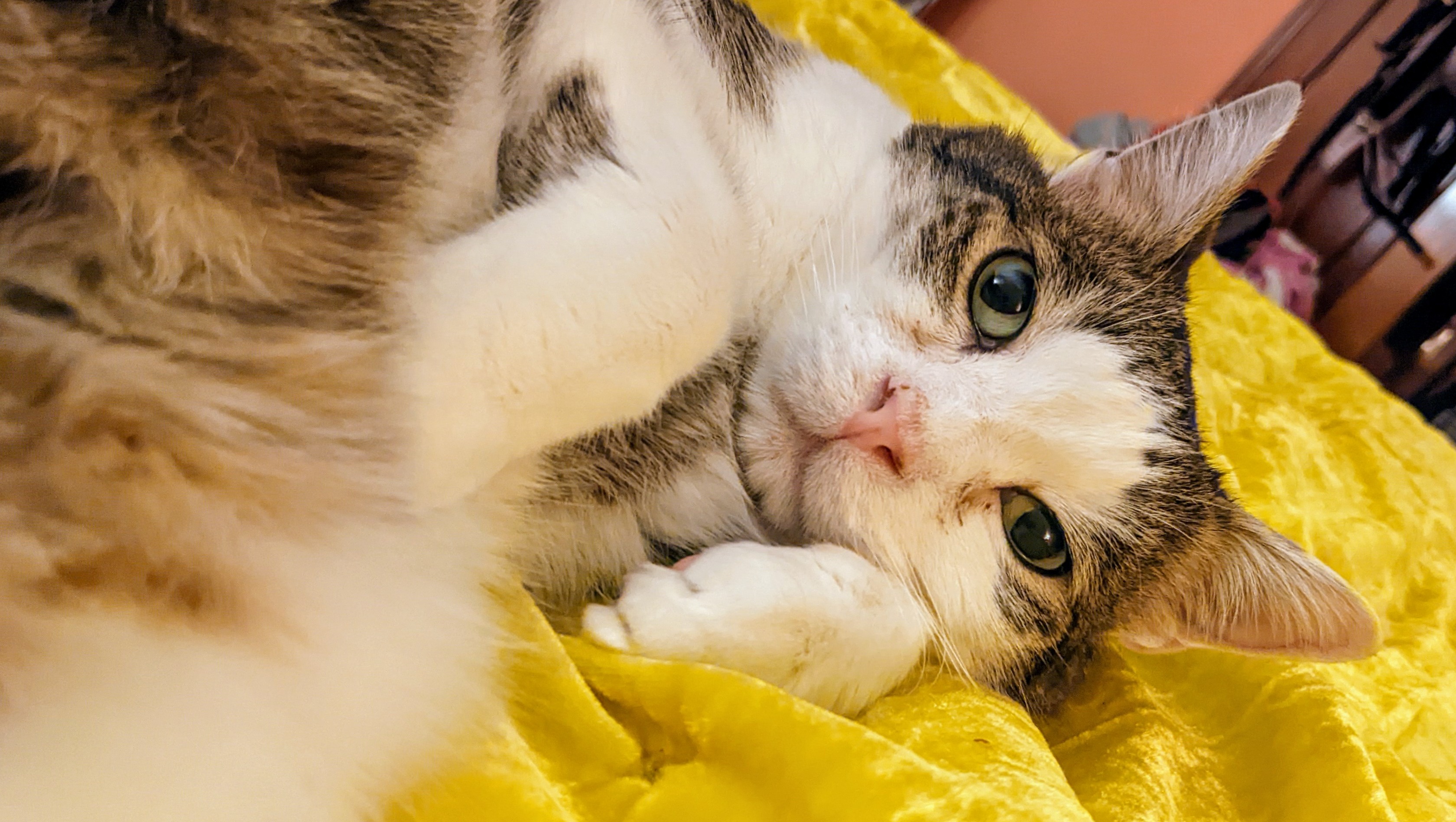 Fundraiser by Sean Kissane : Help Simon Overcome His Health Battles