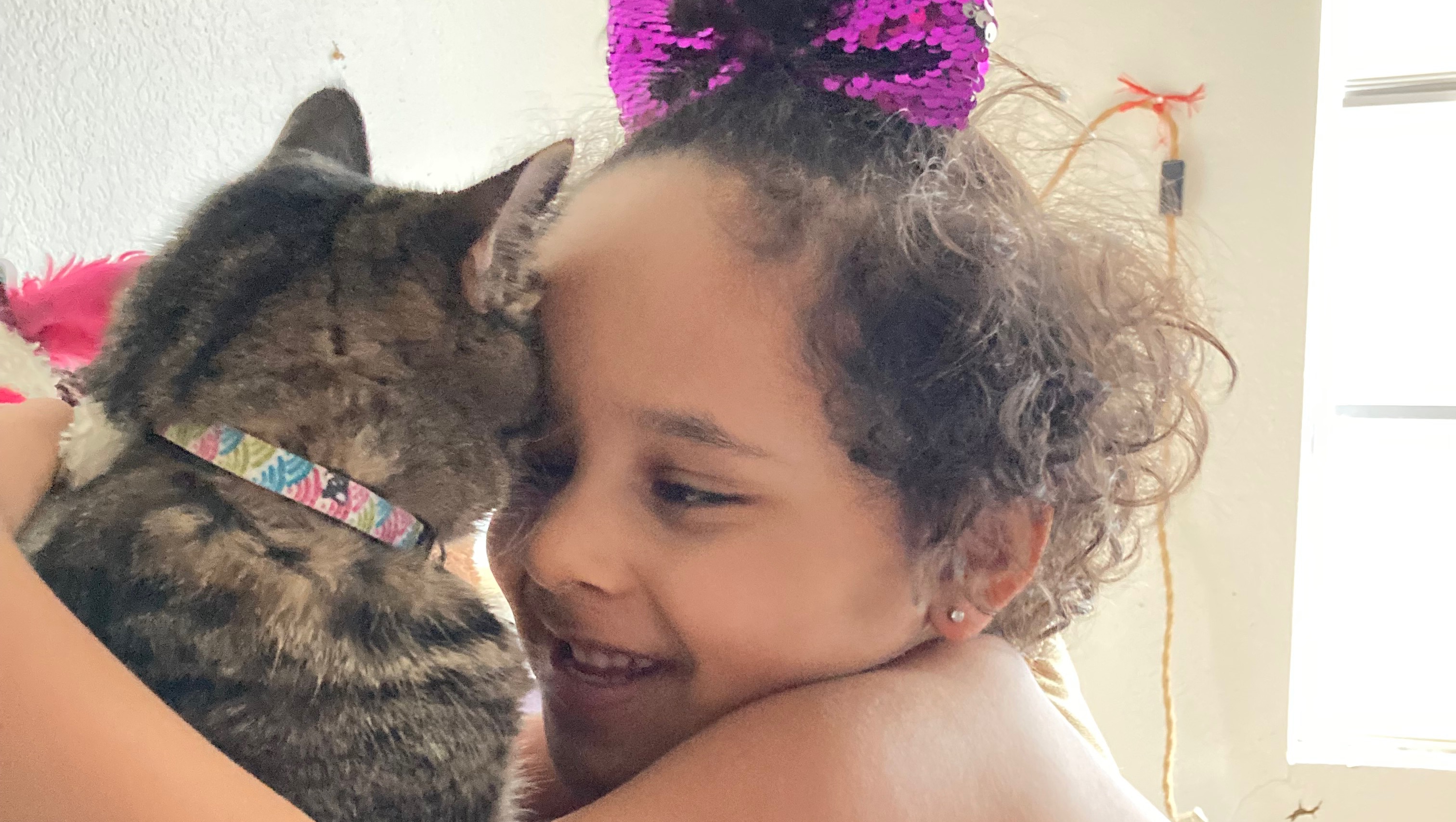 Fundraiser by Marne H : Donate to Keep a Family and Their Pets Together