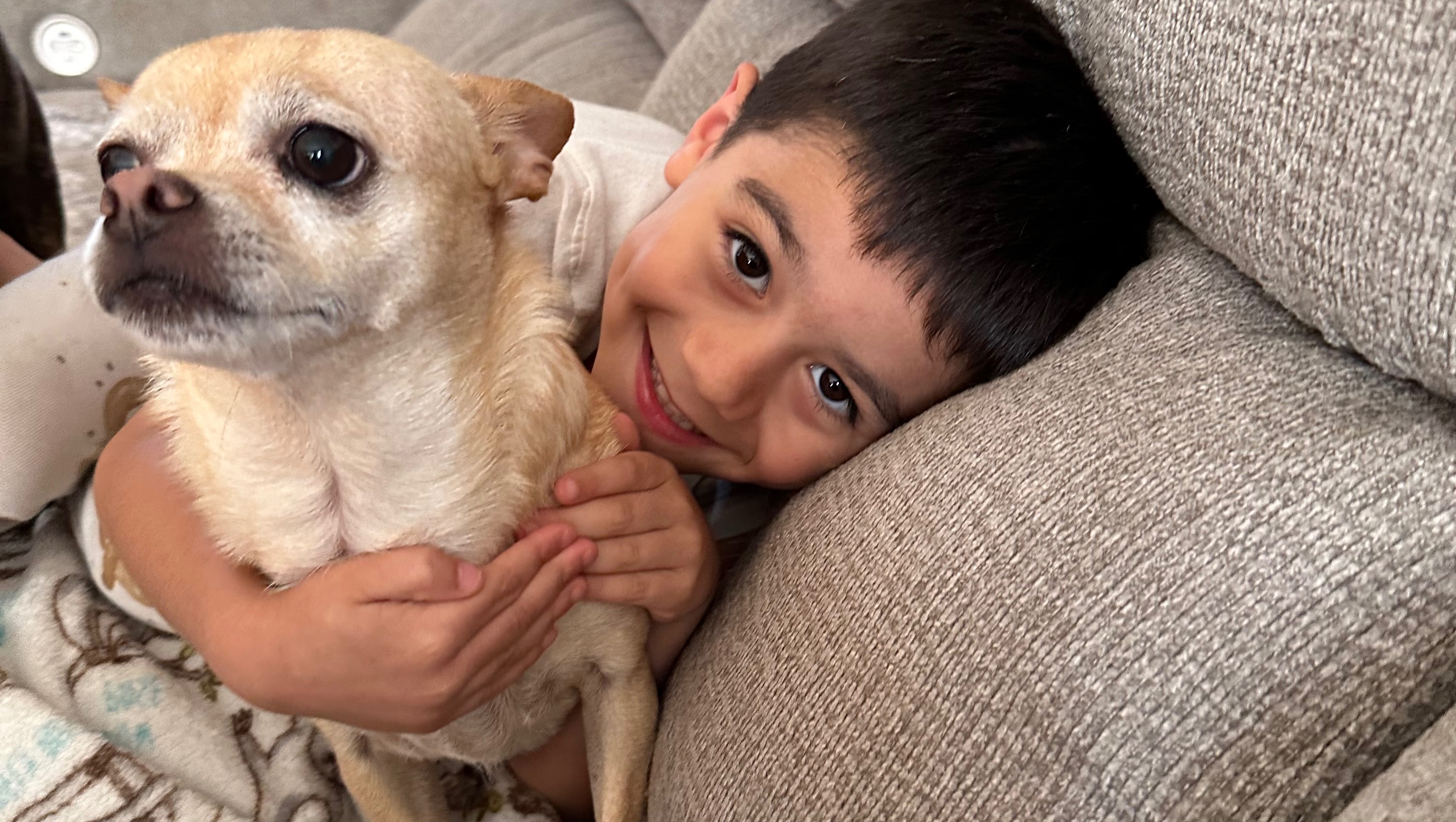 Fundraiser by Rhiannon Ballard : Help Tink Fight Autoimmune Disease