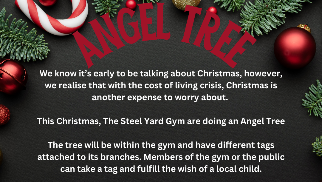 Fundraiser by Alexandra Green : Angel Tree