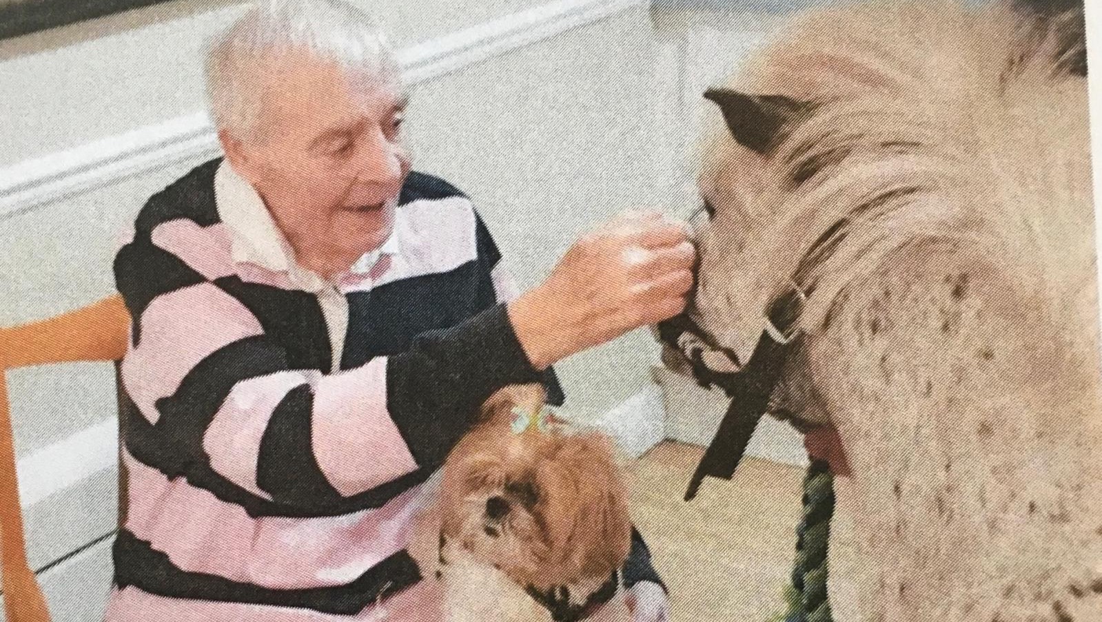 Fundraiser by Yvonne Murray : Celebrating the Life of Roy Murray (1942 ...