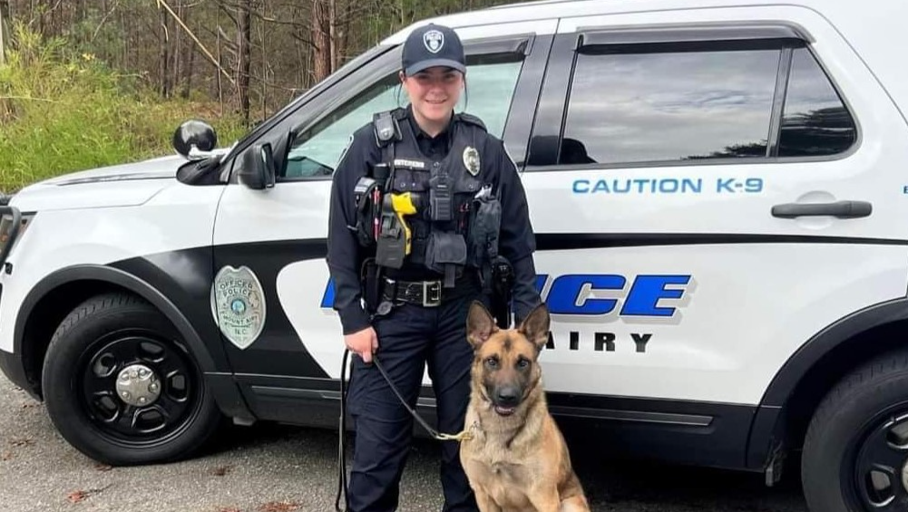 Fundraiser by Pawsome Solutions : Honor K-9 Draco: Memorial Statue Fund