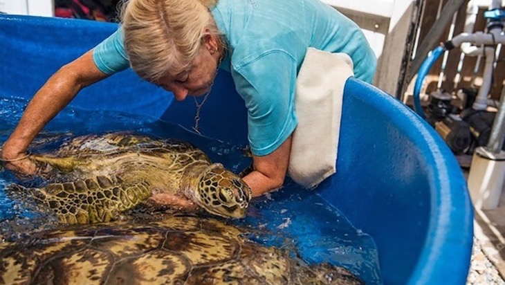 Fundraiser by Jessica Rymell : Helping children Thrive and Preserving ...