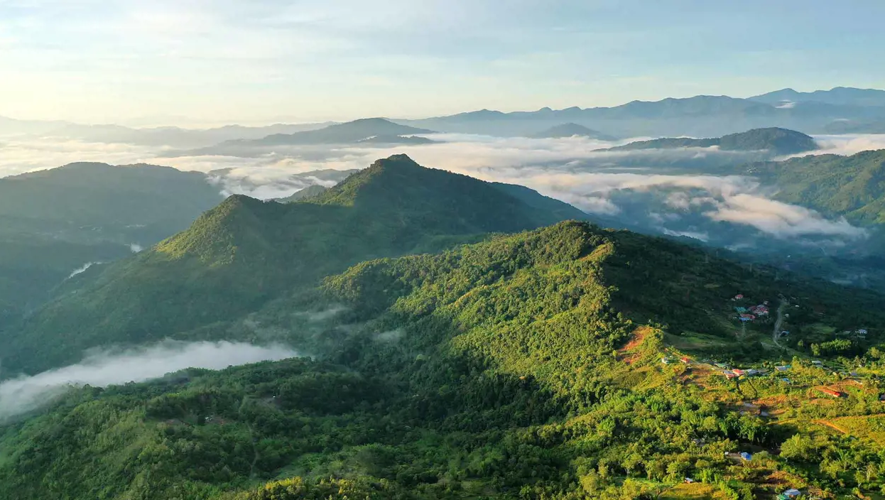 Fundraiser by Woody Wilson : Help Woody raise his trip to Borneo