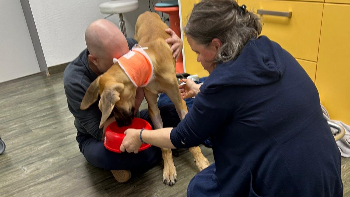 Fundraiser for susan ba by Nadine Sz : Elfi- Unsere kleine Kämpferin