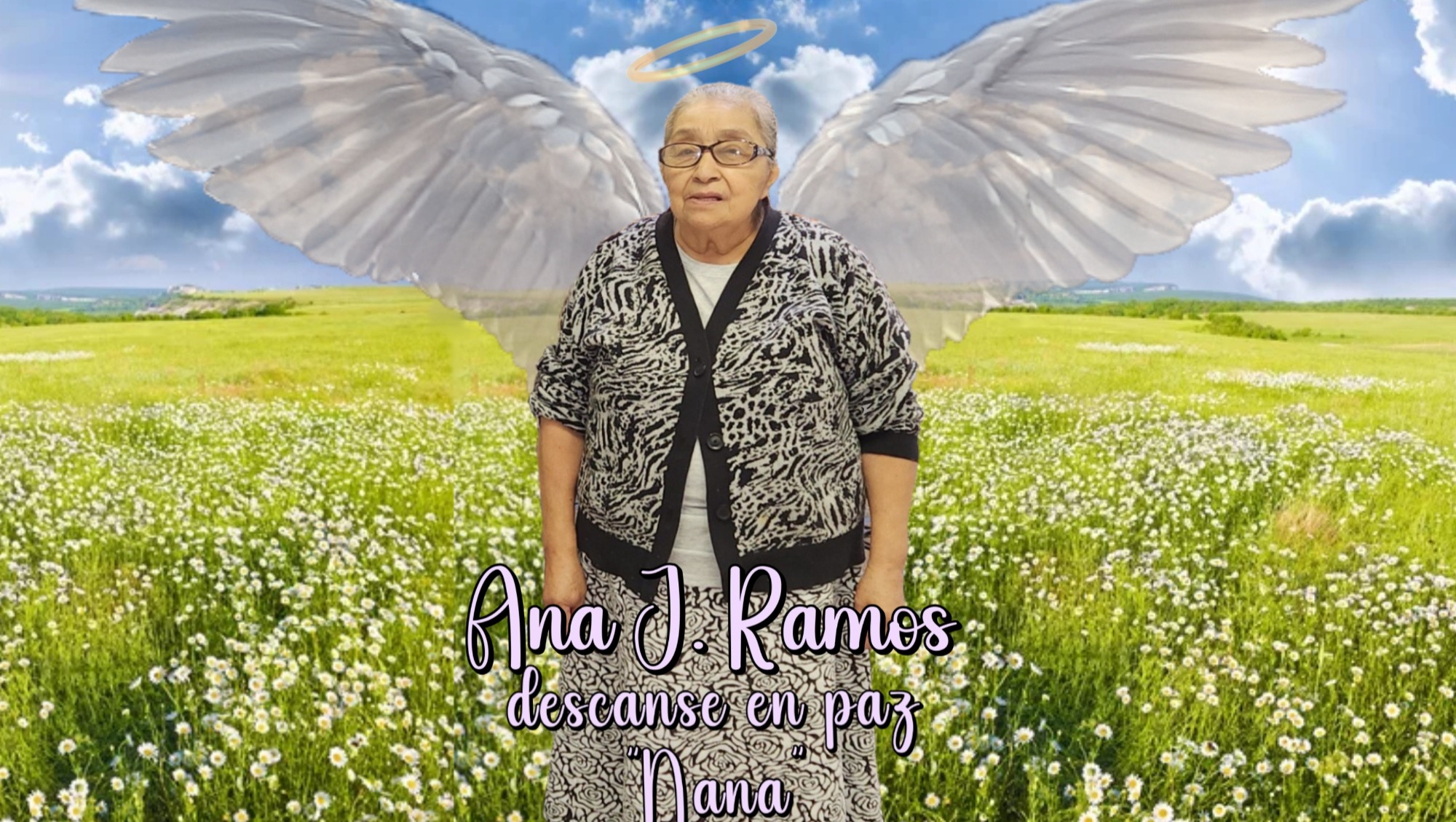 Fundraiser for Pierre Castellanos by Jonathan Castellanos : Support Ana J. Ramos' Memorial Fund
