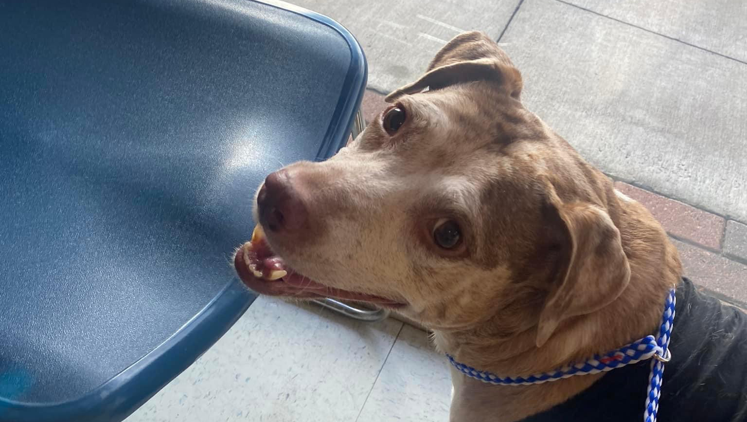 Fundraiser for Andrea Nance by Samantha DeCosmo : Give Back to Andrea ...