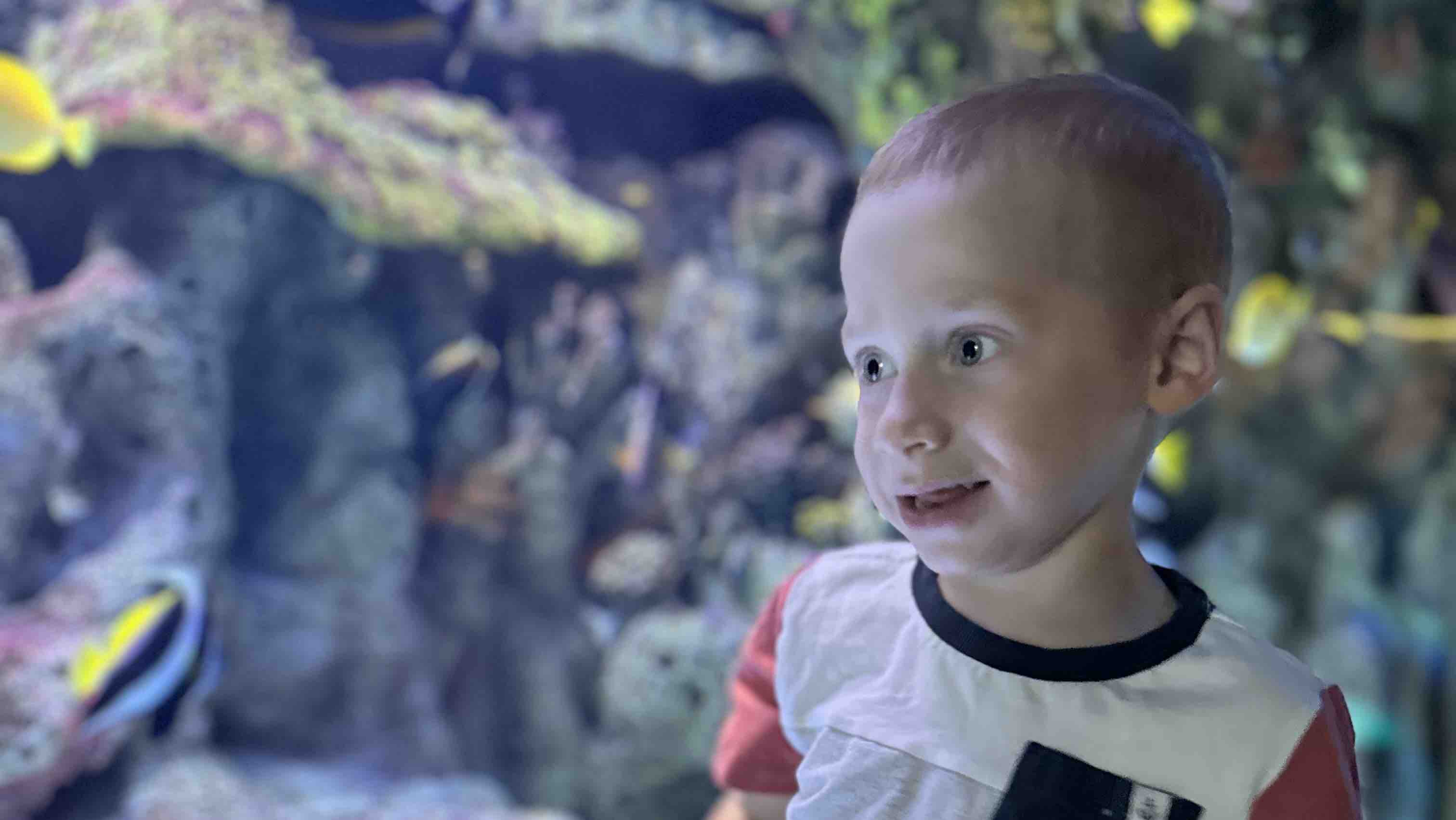 Fundraiser for Thomas Moreno by Josh Miller : Shepard’s Fight