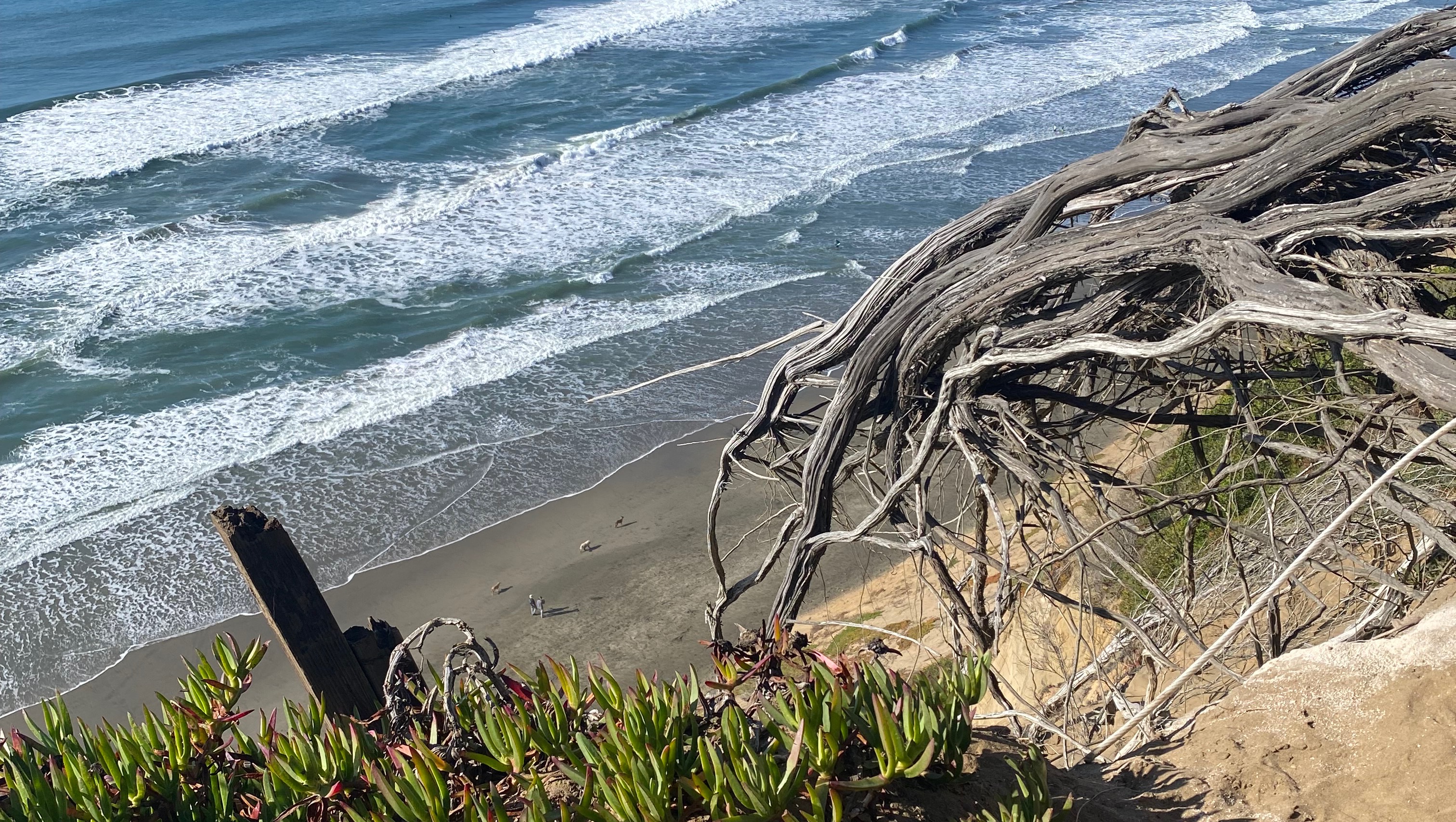 Fundraiser by Ken Hadley : Assist Ken Hadley in Family Duties After Loss