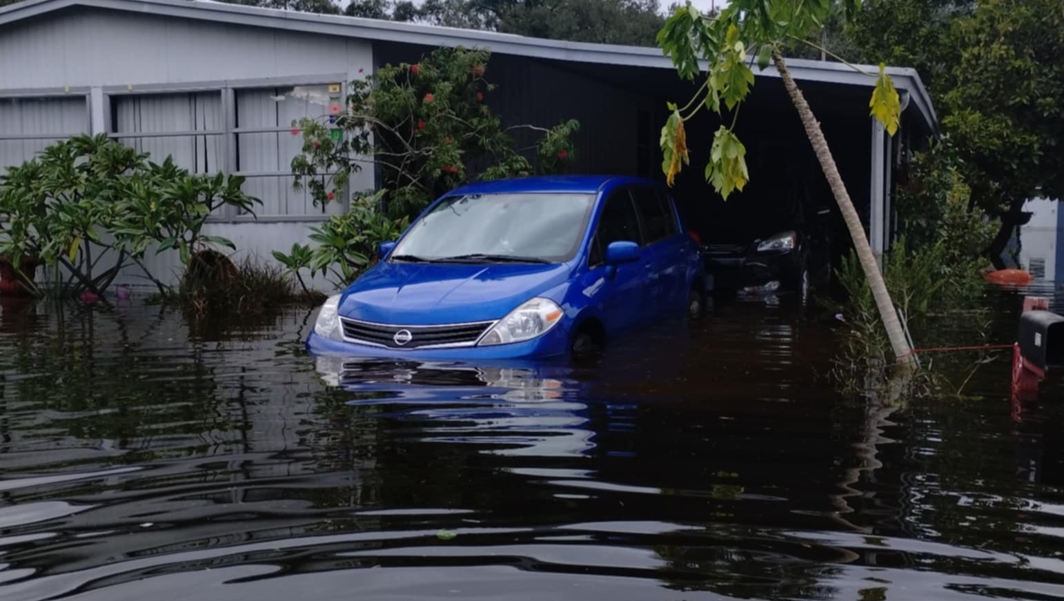 Fundraiser by Rebekah Perez : Support a Floridian's Recovery from ...