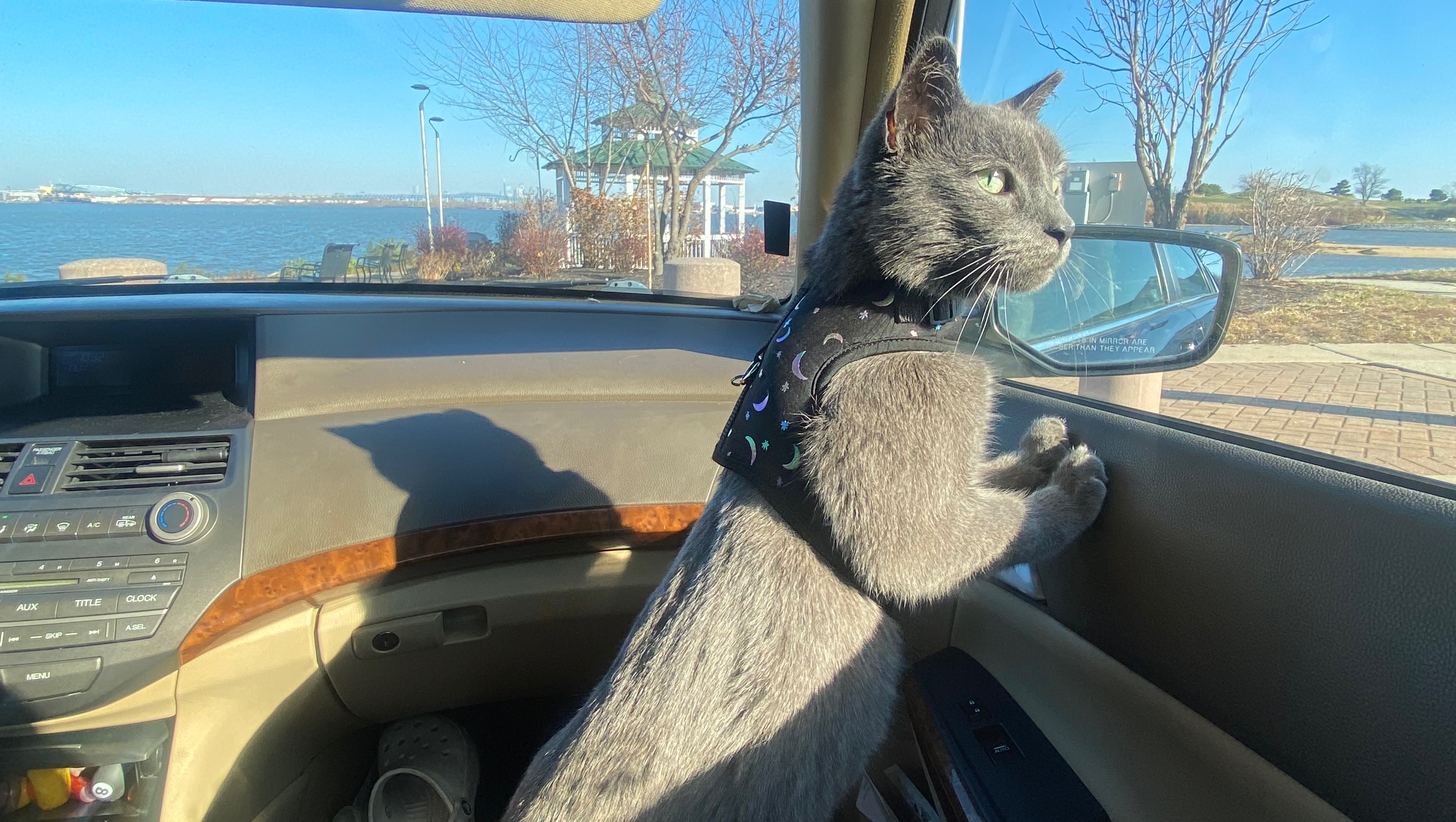 Fundraiser for Isaiah Morton by Kayla Duck : Support Mister Smokey's ...