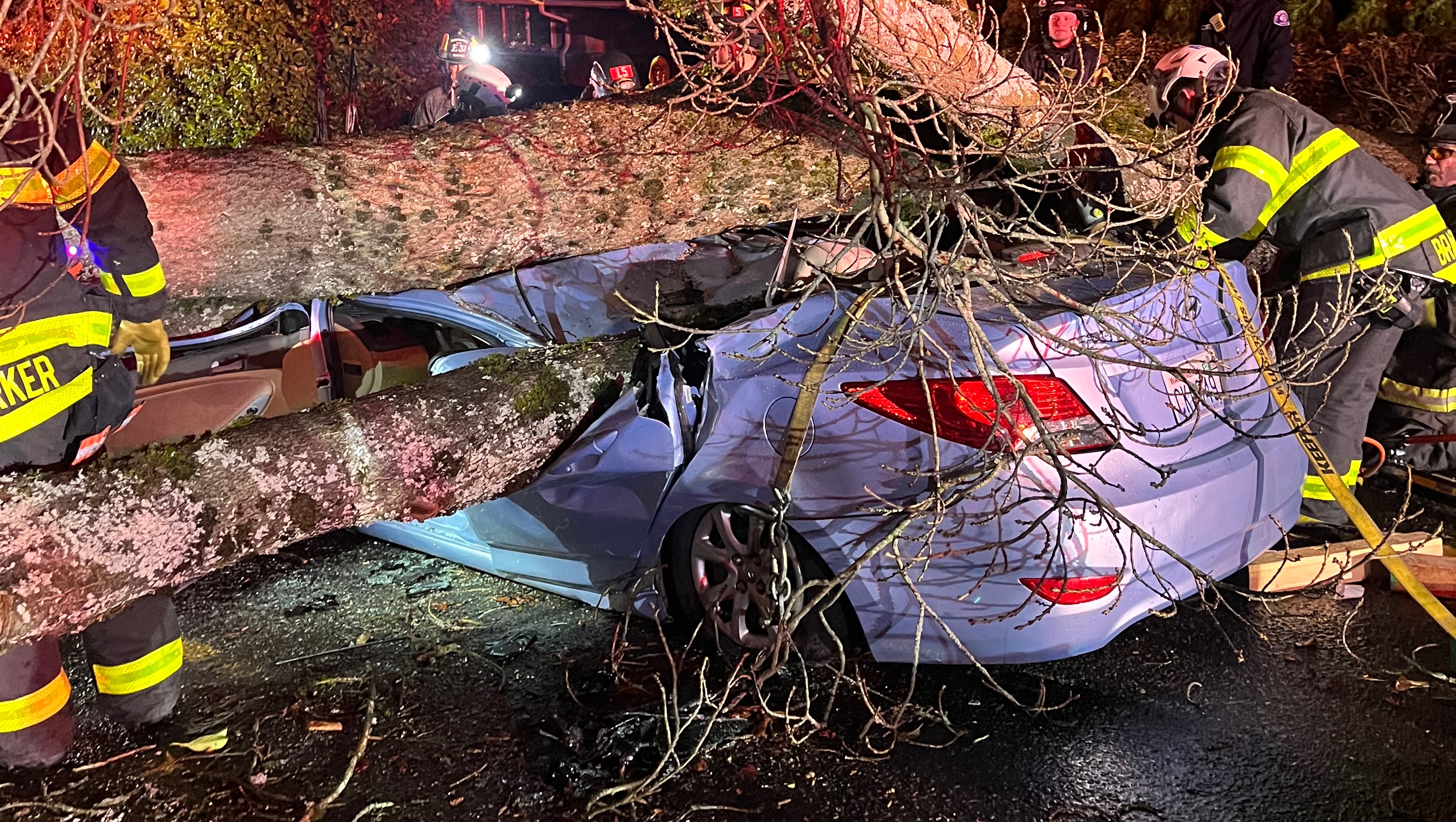Fundraiser by Tyson Ramirez : UW Student Needs Help After Tree Smashes ...