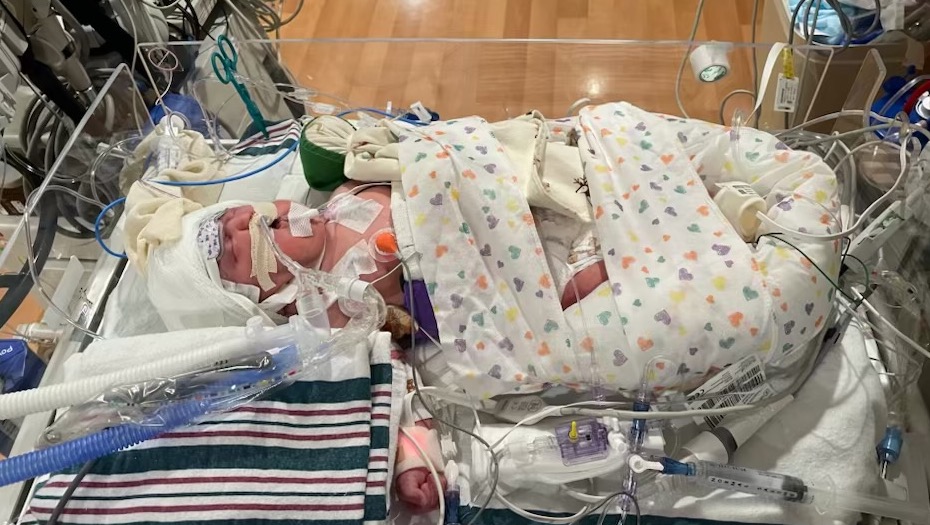 Fundraiser for Ashley Wheelan by Kathryn Lewis : Help Baby Andrew ...