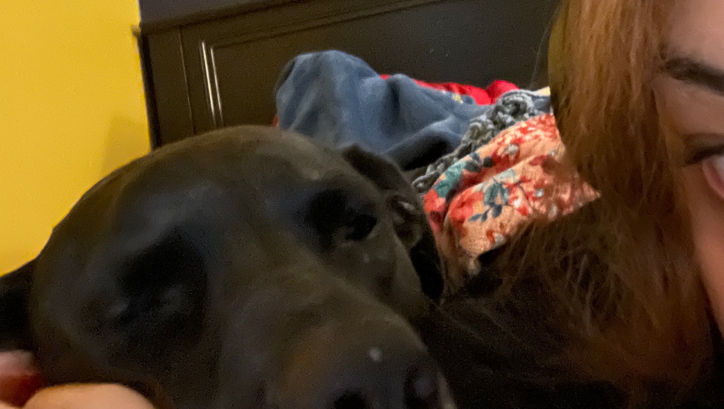 Fundraiser by Breana Smith : Donate to Help Bre Find a Safe Home