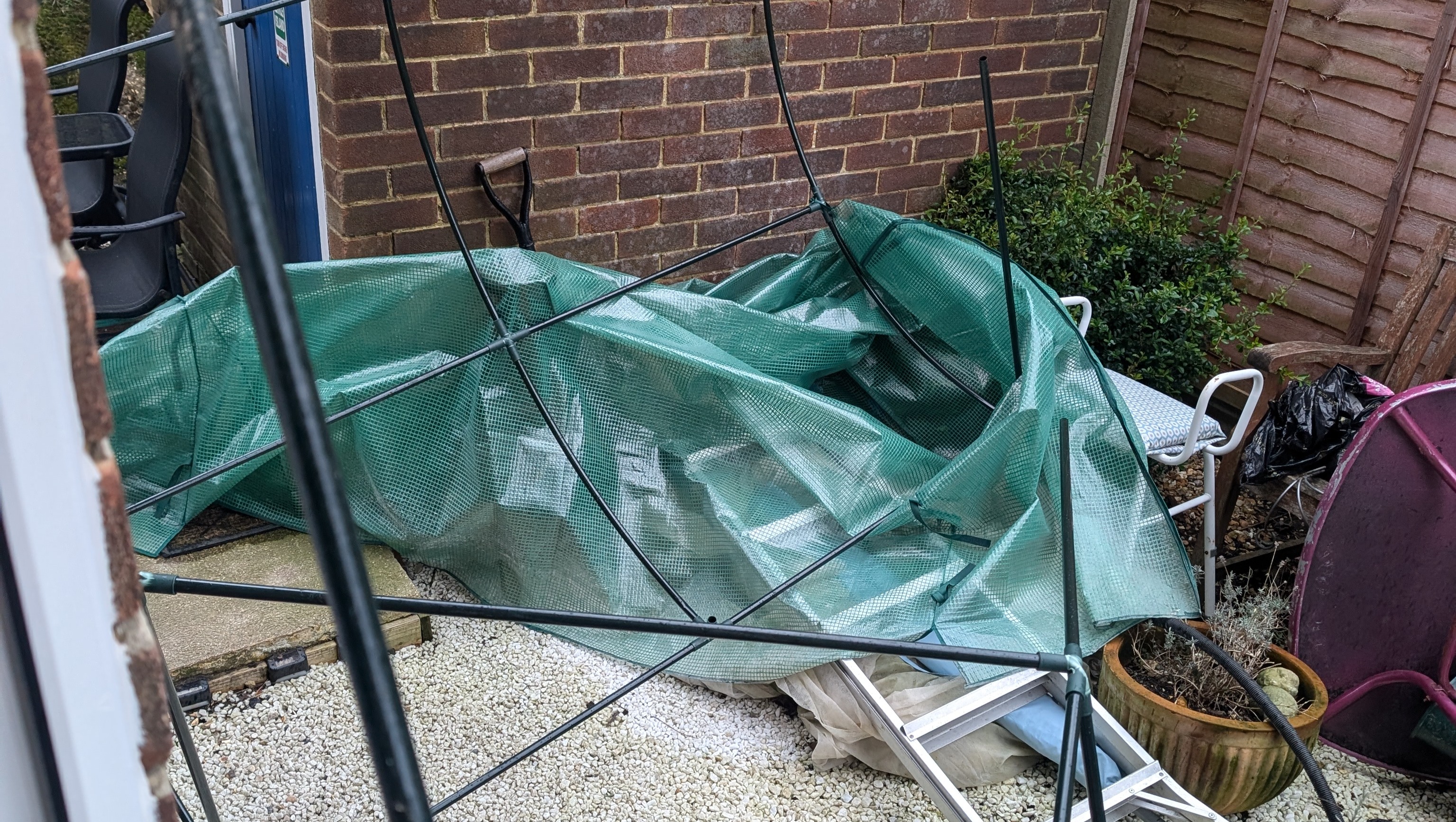 Fundraiser by BARRY Rathbone : Help rebuild our Survivors Group Garden ...