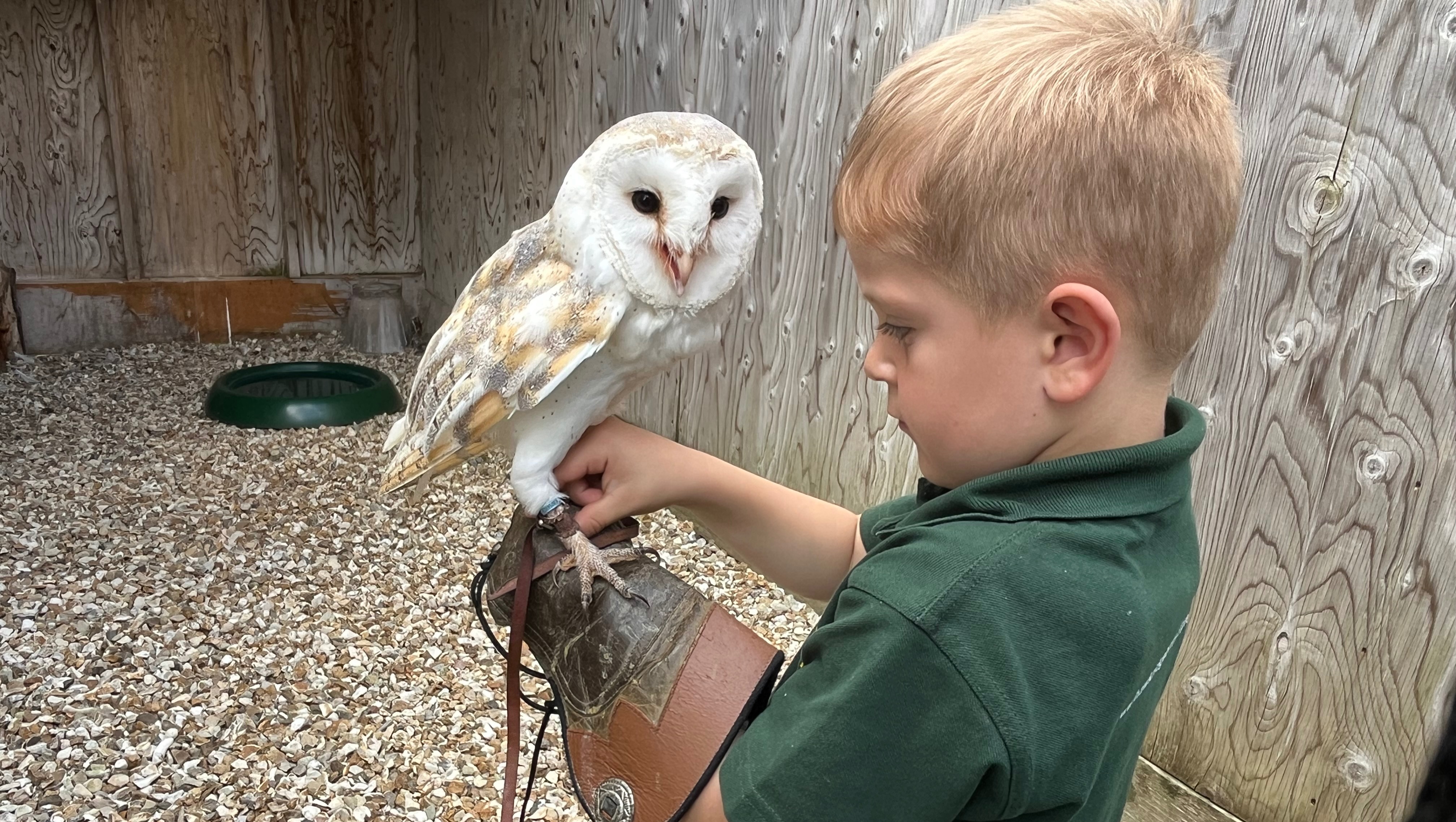 Fundraiser by Sharon Beech : Storm Bert , roof damage
