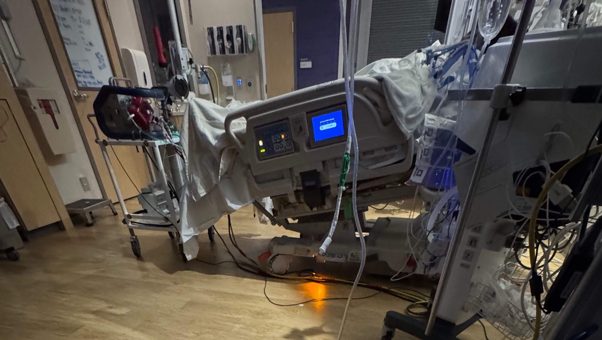 Fundraiser by Annie Rose Calica : Annie Rose's Fight for Life and ...