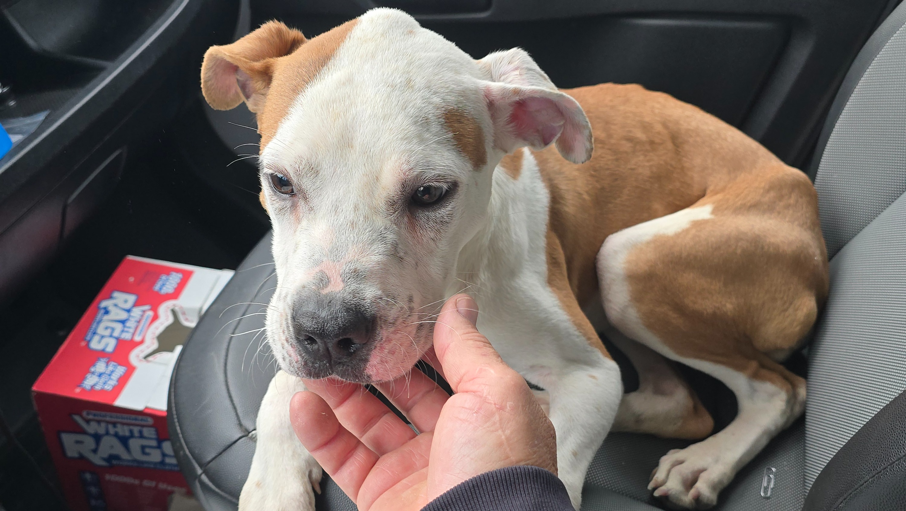 Fundraiser by Robert Hunnicutt : Give Hunni a Chance: Donate for Her ...