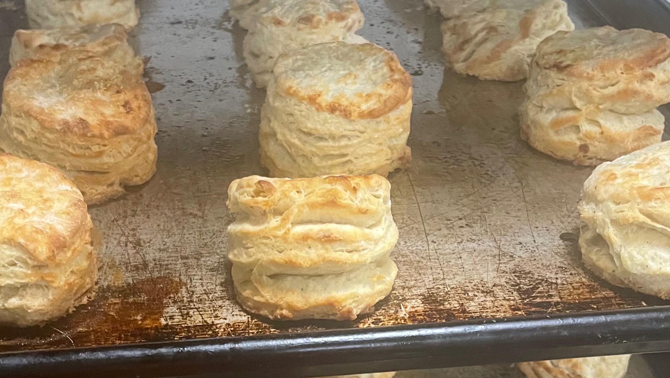 Fundraiser by Kayla Starling : Stand with Sweet Pea Cafe Staff ...