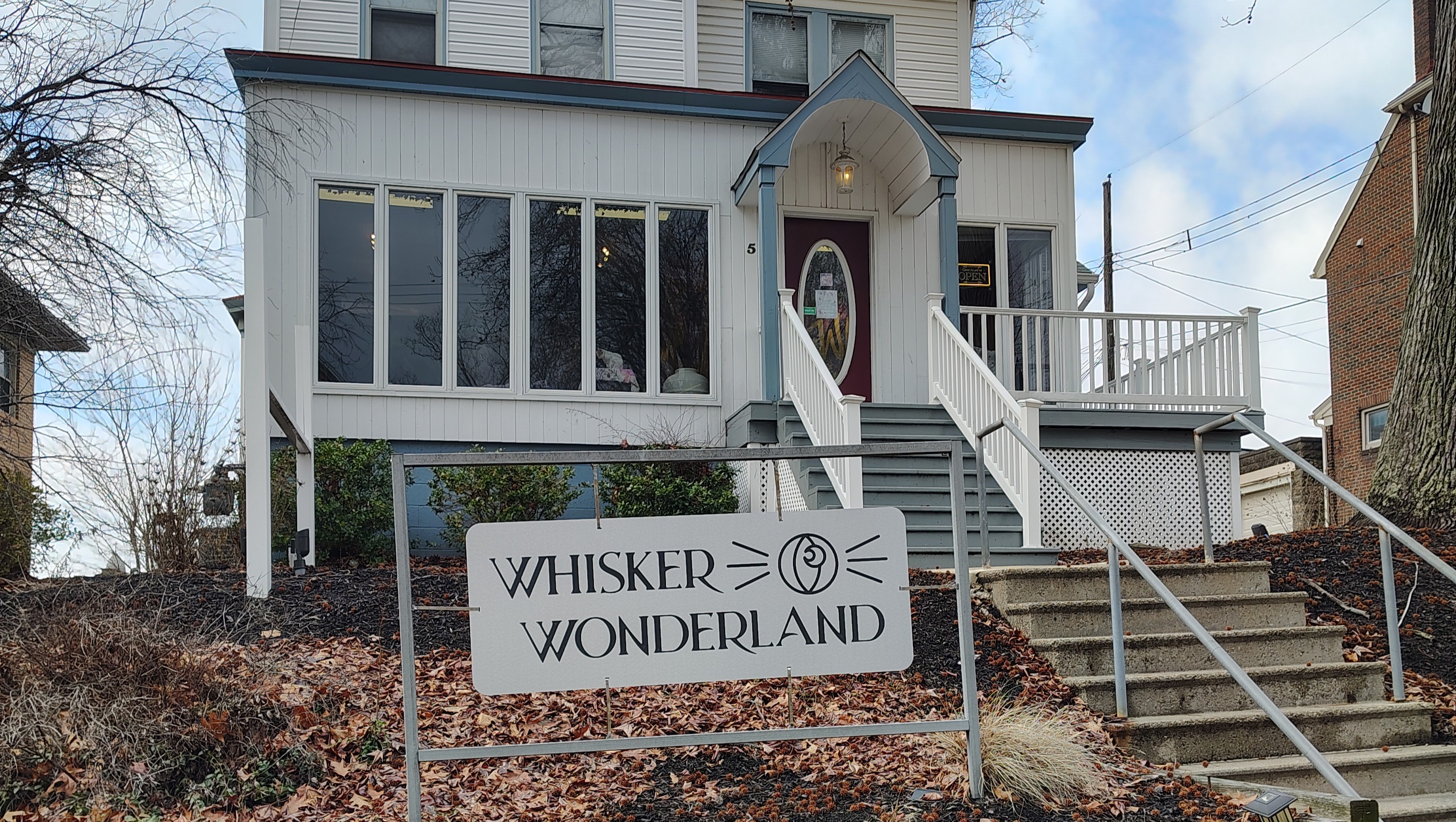Fundraiser by Anna Montano : Support the Rescue Kitties at Whisker ...