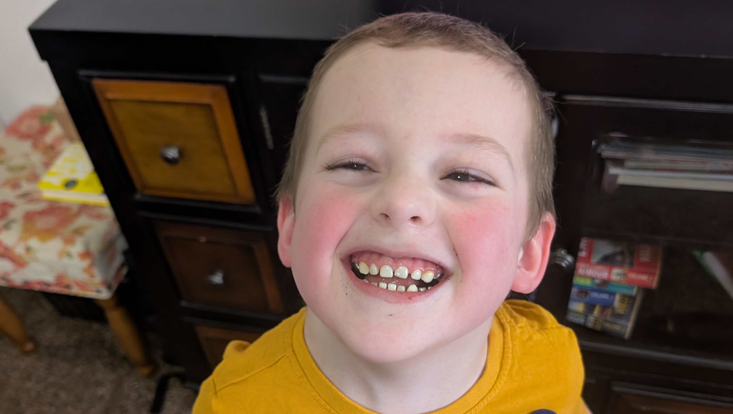 Fundraiser by Brittany Snook : A Service Dog For Gale