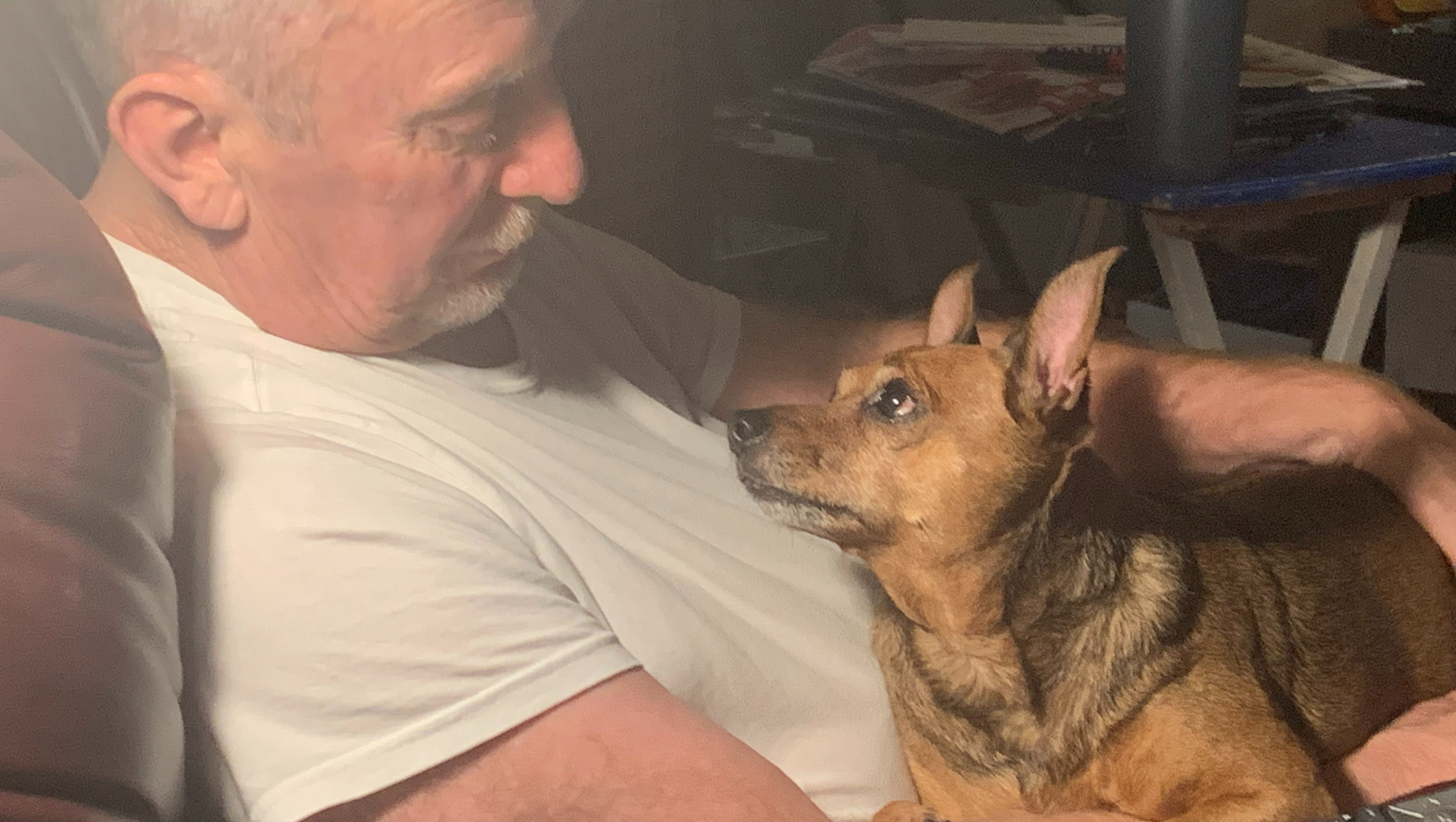 Fundraiser for Tom Gilbert by Louise Edwards : Tom and Buster Need Your ...