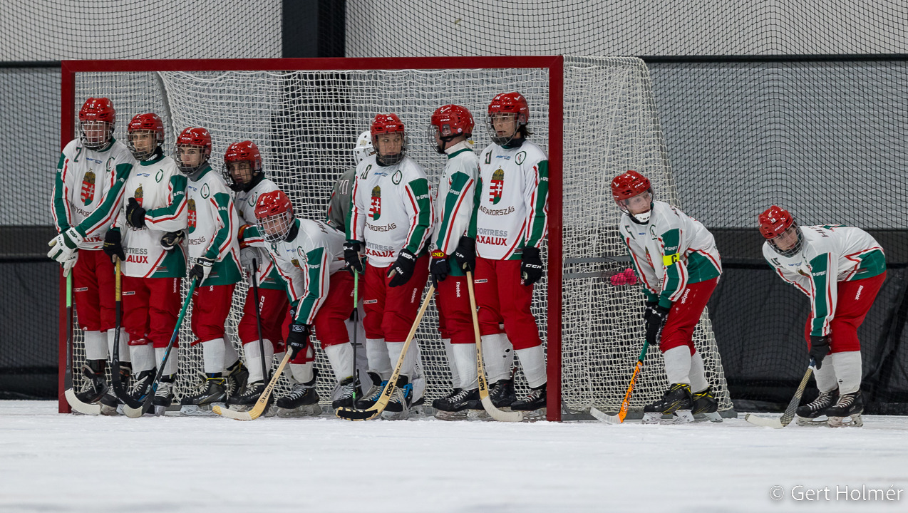 Fundraiser by Kristian Marosi : Help Hungarian Junior Bandy Team ...