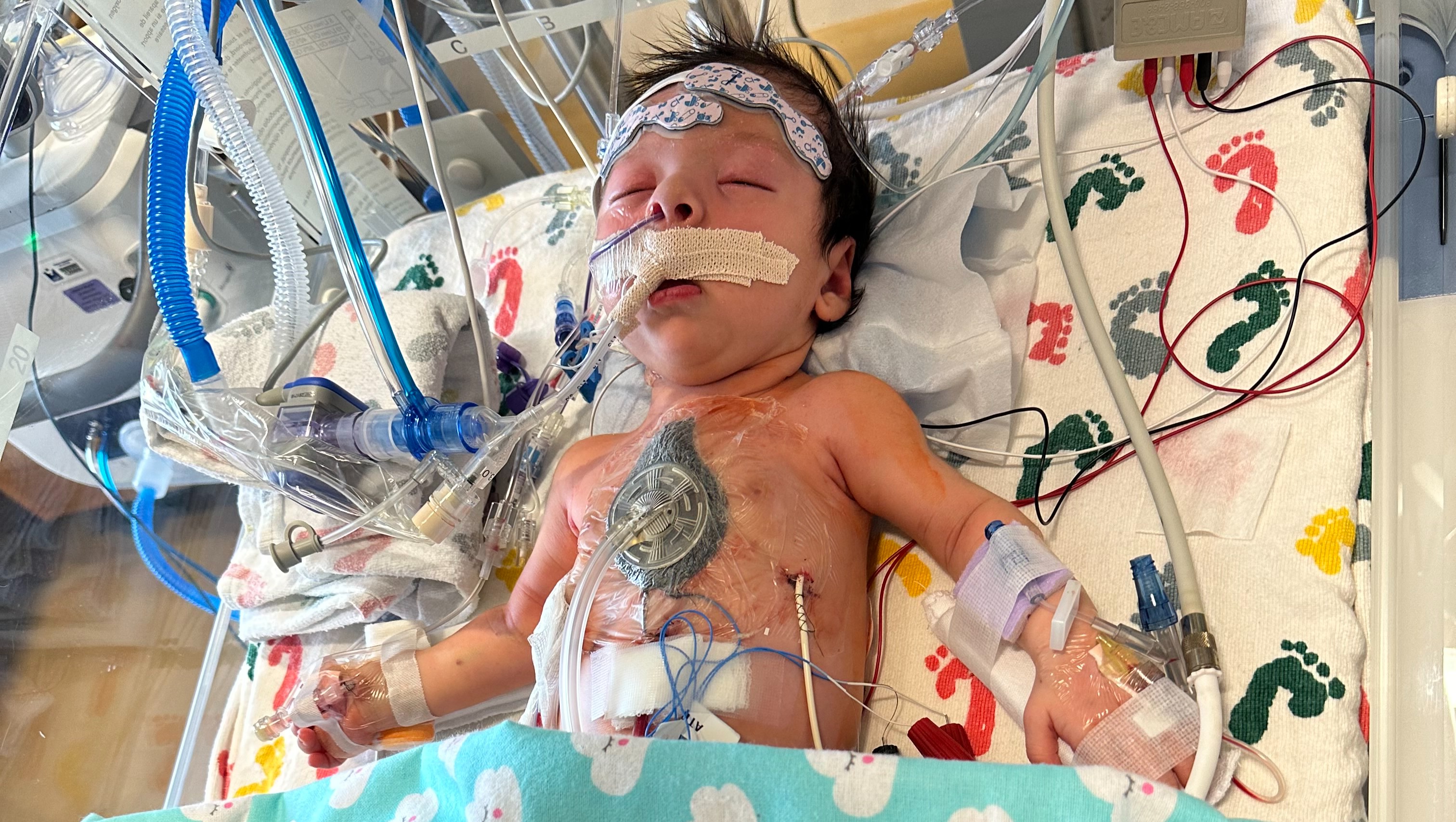 Fundraiser for Kayla Hernandez by Kristen Tsunenaga : Help Baby Keenan Recover: Support The ...