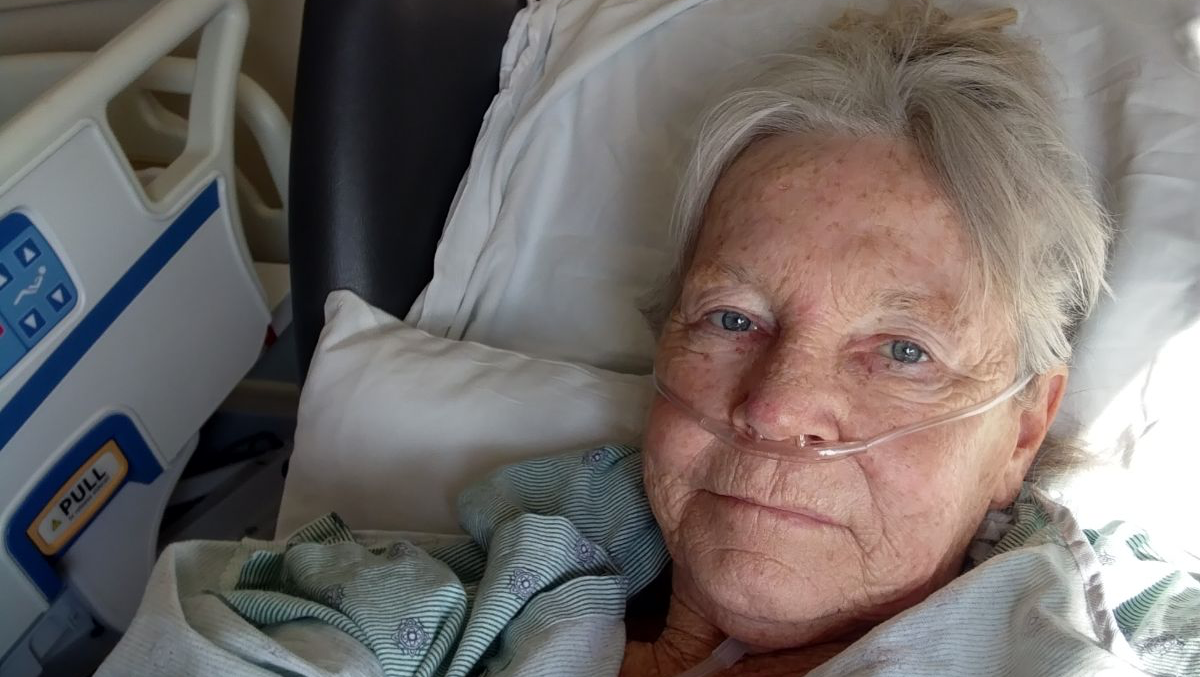 Fundraiser for Shirley Hewitt by Mckayla Andersen : Aid Shirley's 3 ...