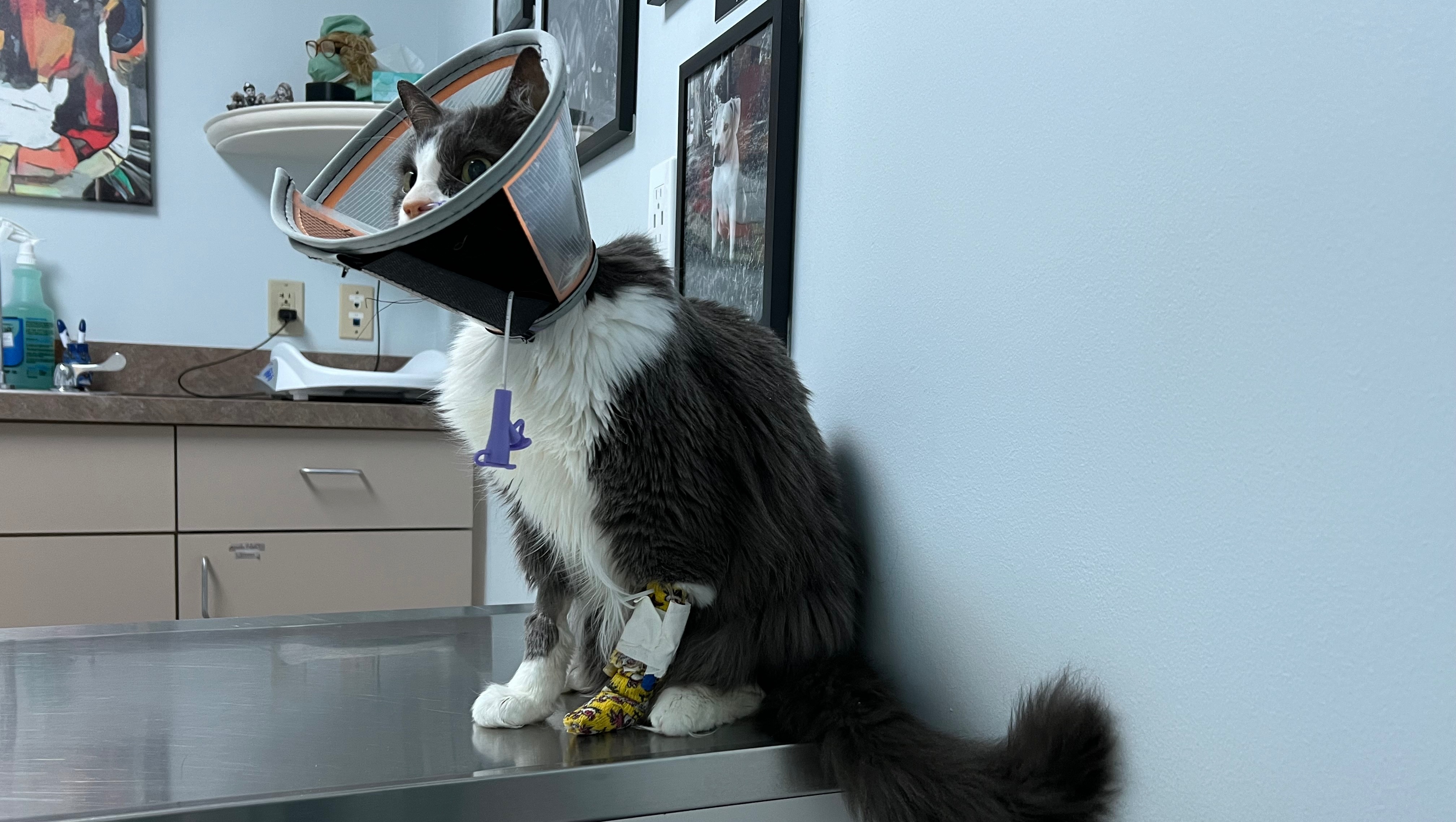 Fundraiser for Brian McCluskey by Molly Scully : Support Muldoon's ...