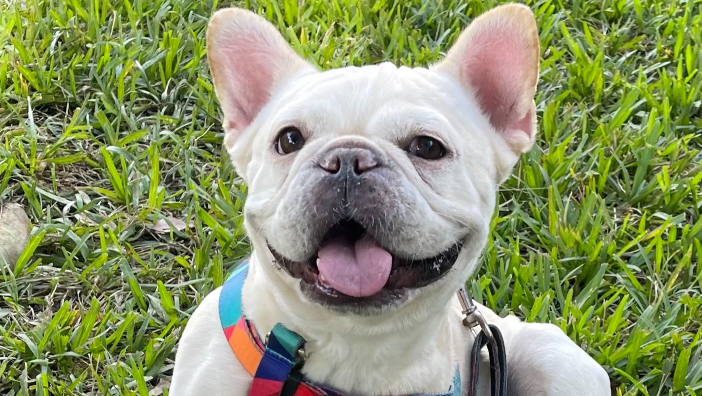 Fundraiser by Rusty McNeely : In Loving Memory of Addison-Baxter: A ...