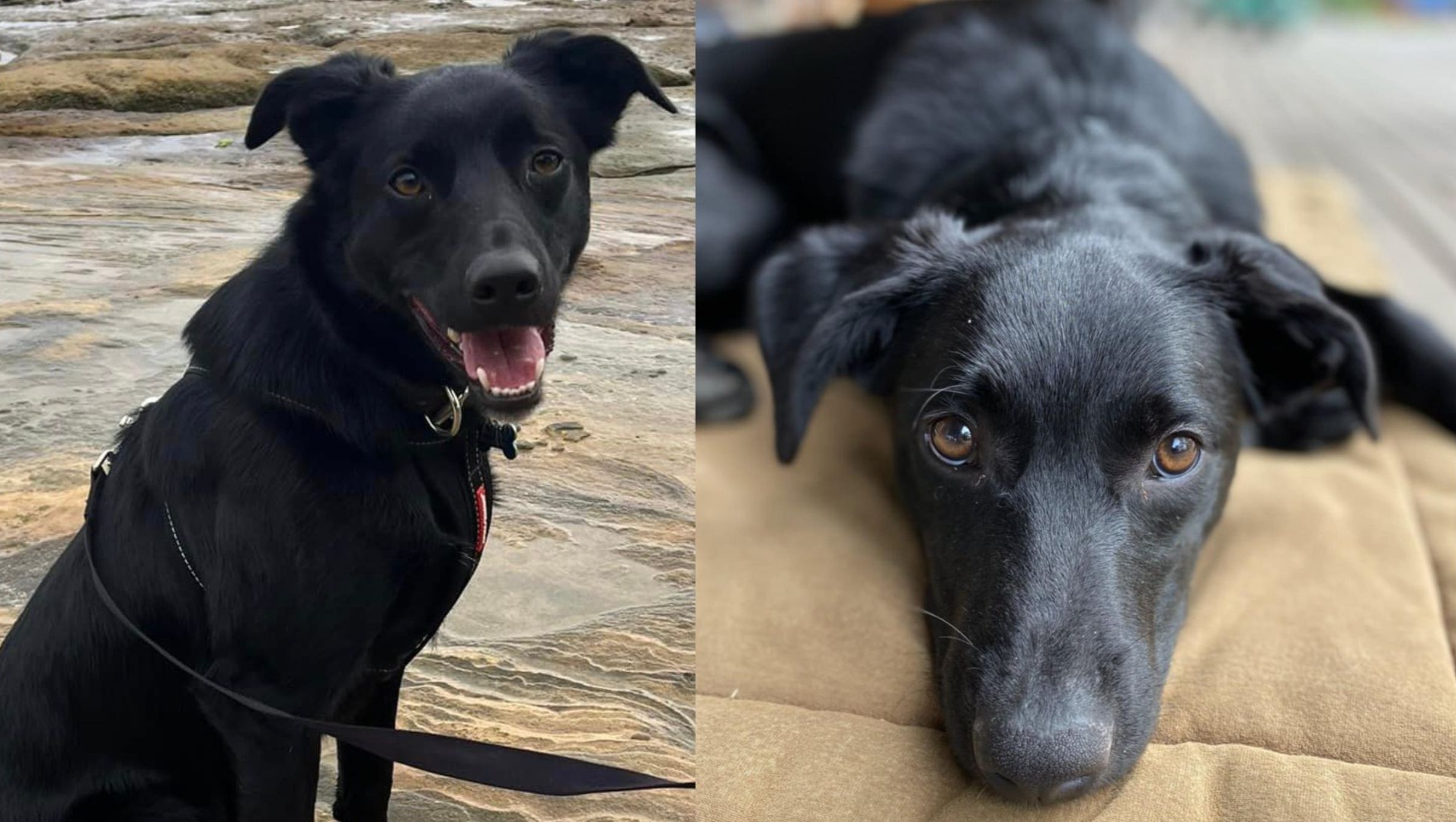 Fundraiser for Bret Maunder by Priscilla Parkes from Wonthaggi ...