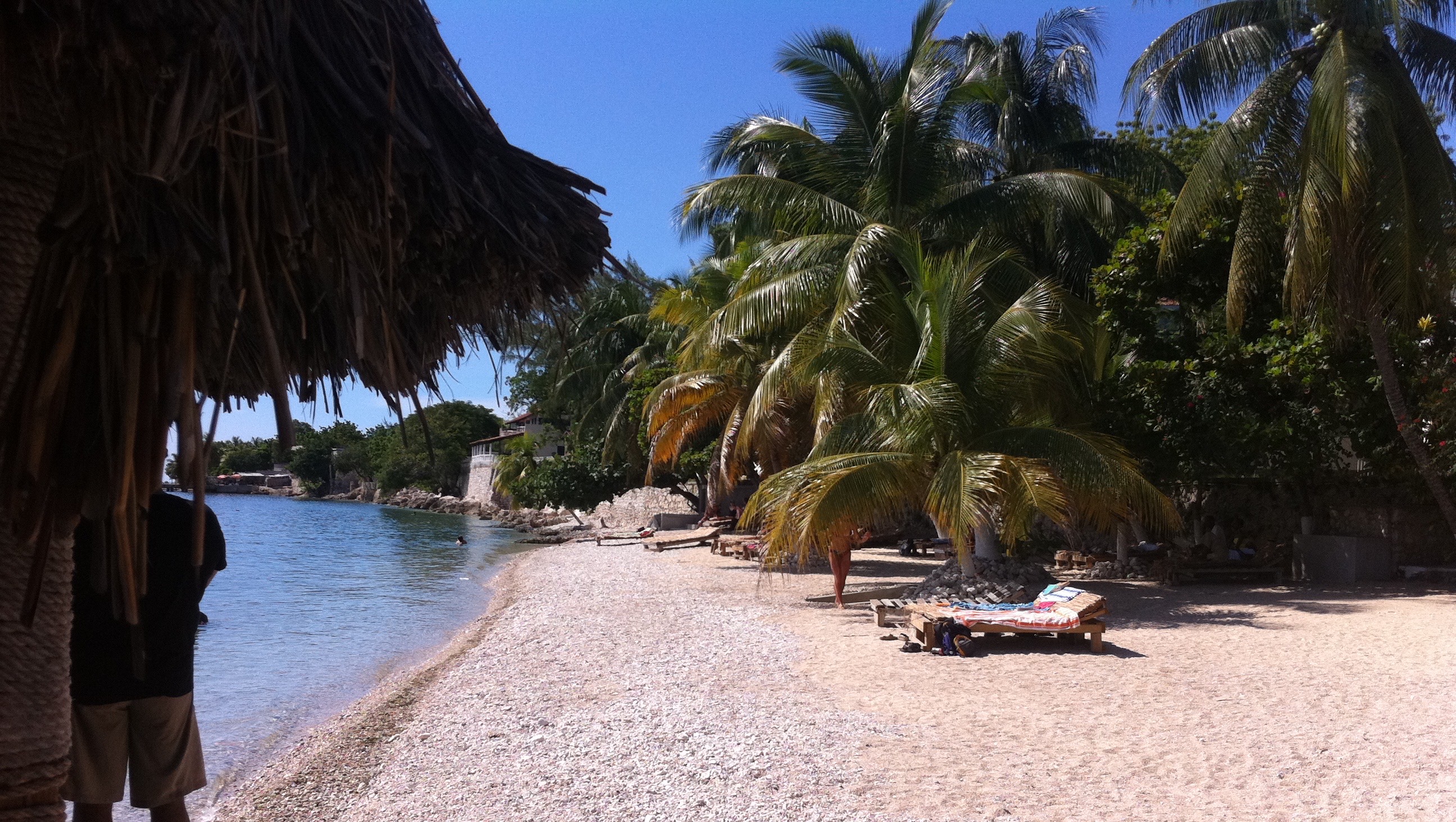 Fundraiser by Francesca Jean-Baptiste : Jesula Mardy's Soup Joumou for ...