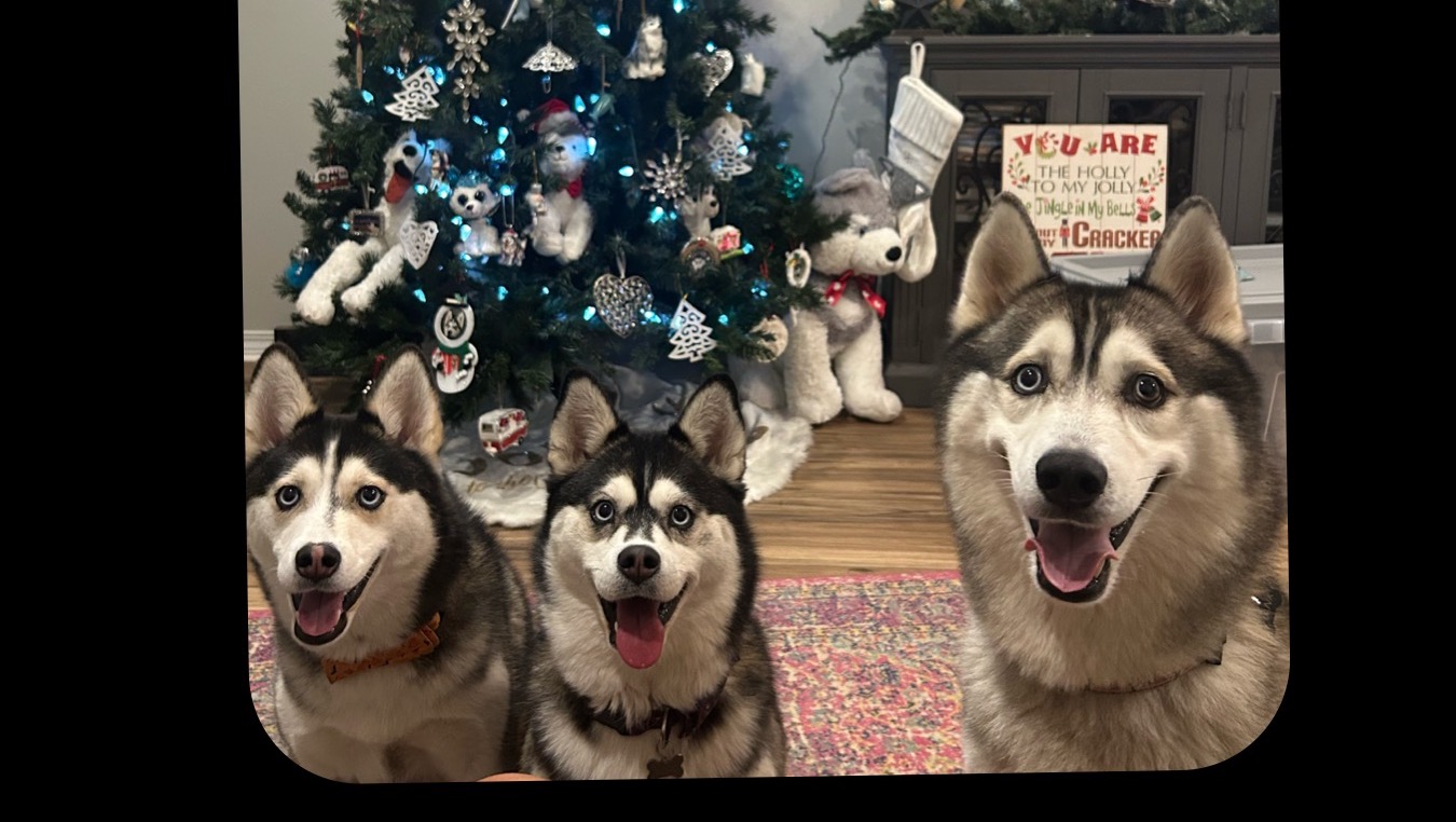 Fundraiser by Katie Schulz : Help Hank fight the heart disease