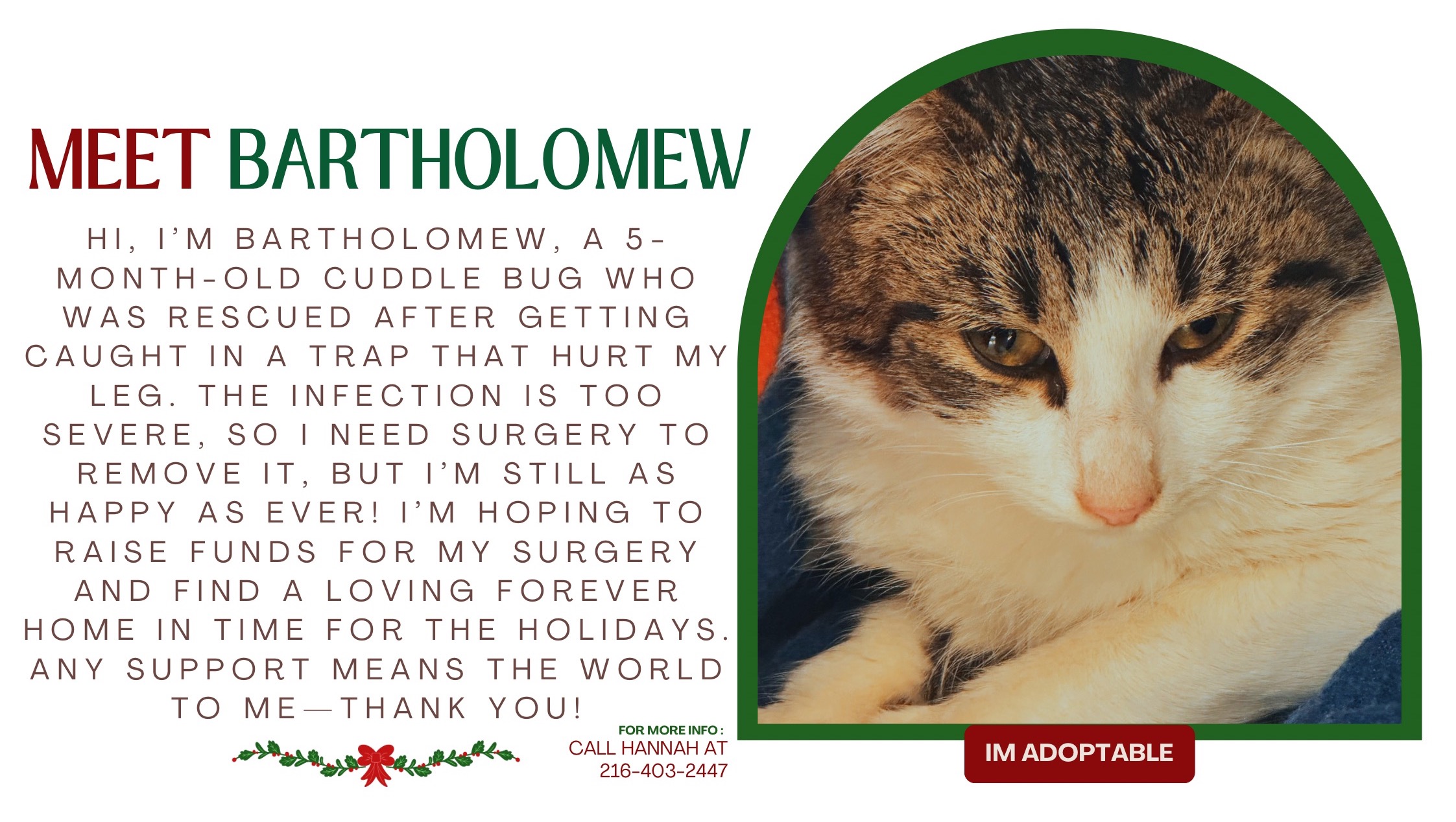 Fundraiser by Hannah Pannetti : Give Bartholomew a Chance at a Happy Life