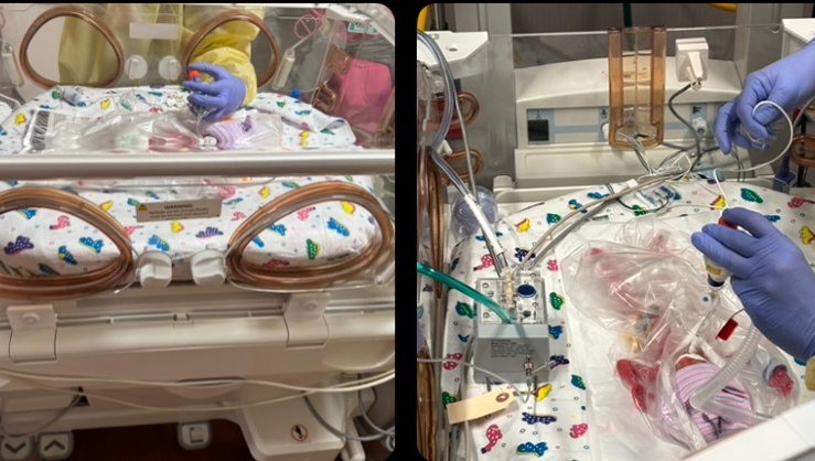 Fundraiser by Isaac Castillo : Support Kaileigh and Braxton's NICU Warriors