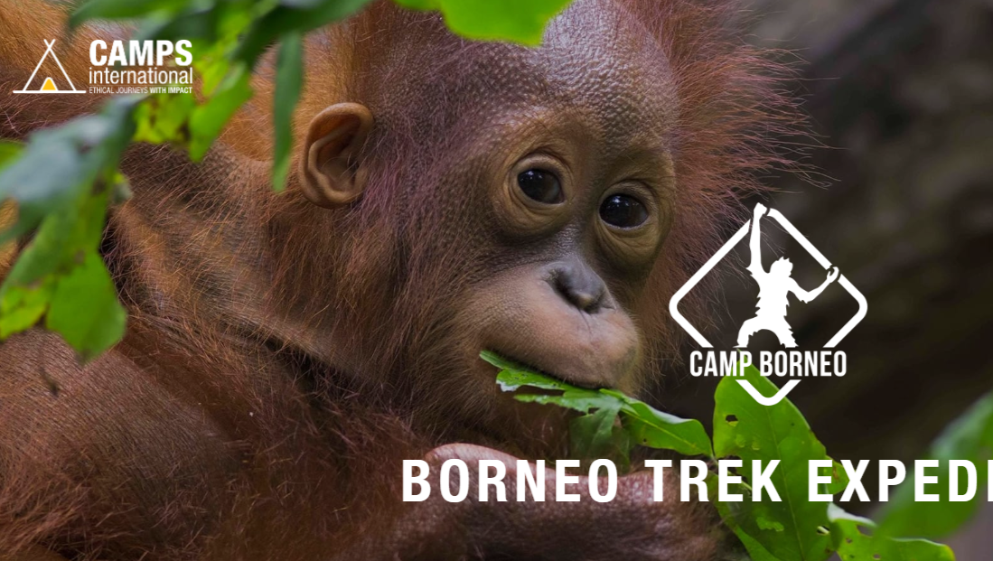 Fundraiser by Charlie Galbraith : Camps International Borneo 2026 ...