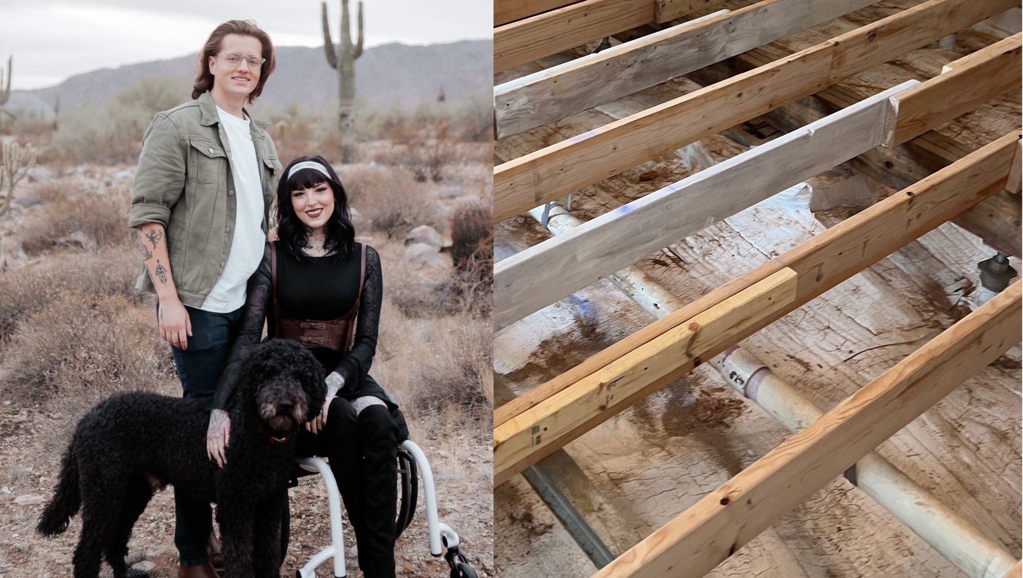 Fundraiser by Kyle Pichan : Urgent Repairs And Medical Bills For Dog Attack