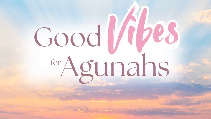 Fundraiser by Adina Sash : Good “Vibes” for Agunos