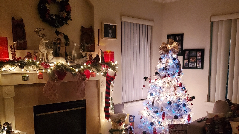 Fundraiser by Cynthia Eickhoff : Help Cynthia and Wilhelm Save Their Home