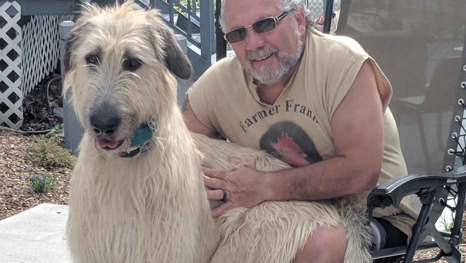 Fundraiser by Jim Hermann : Help Fill Frankies BOX once again