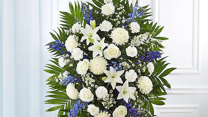 Fundraiser by Anu Kochhar : Help Cindy with Jacob's Memorial and Business