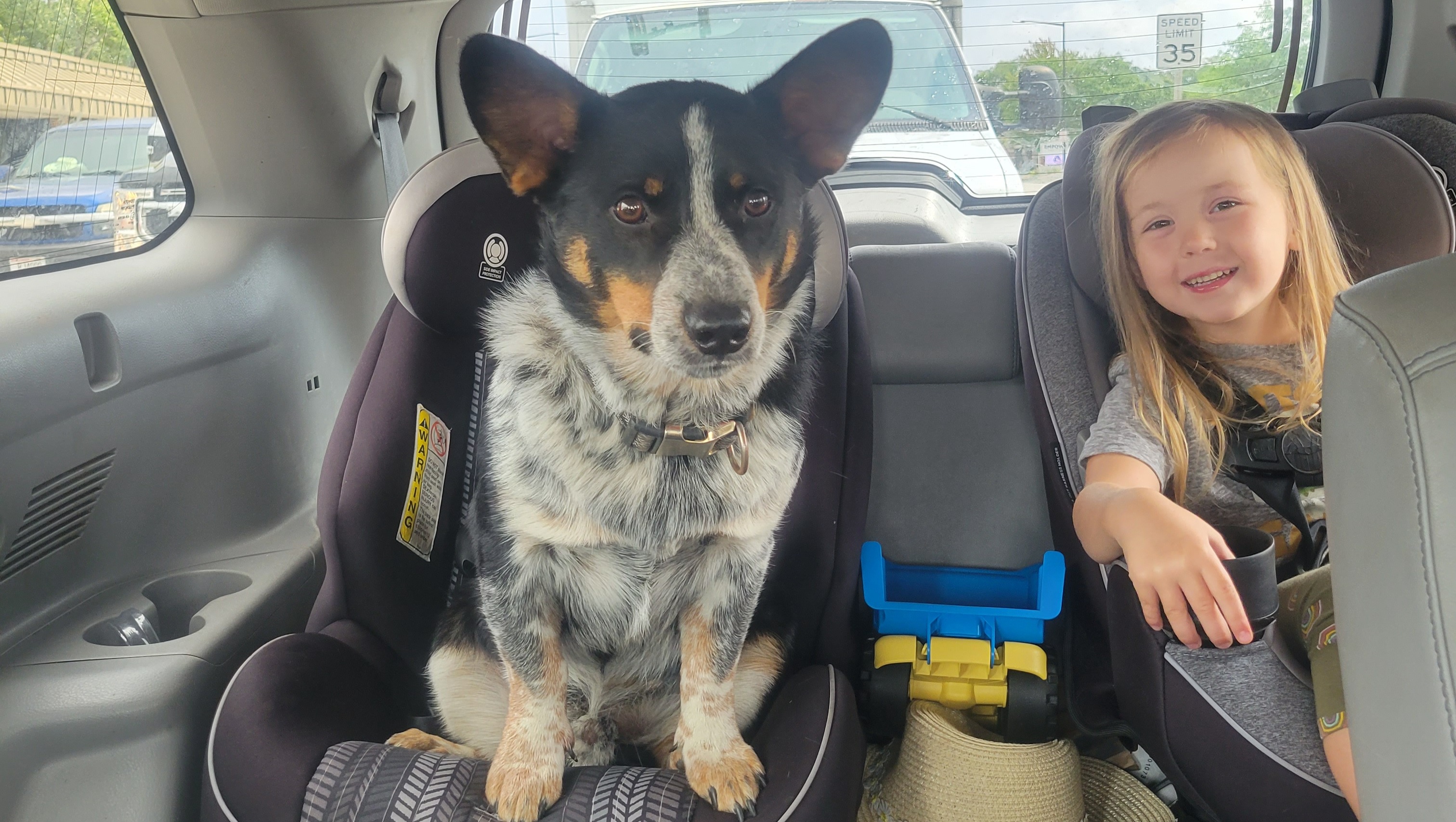 Fundraiser by Timothy Gross : Support Tato's Life-Saving Surgery